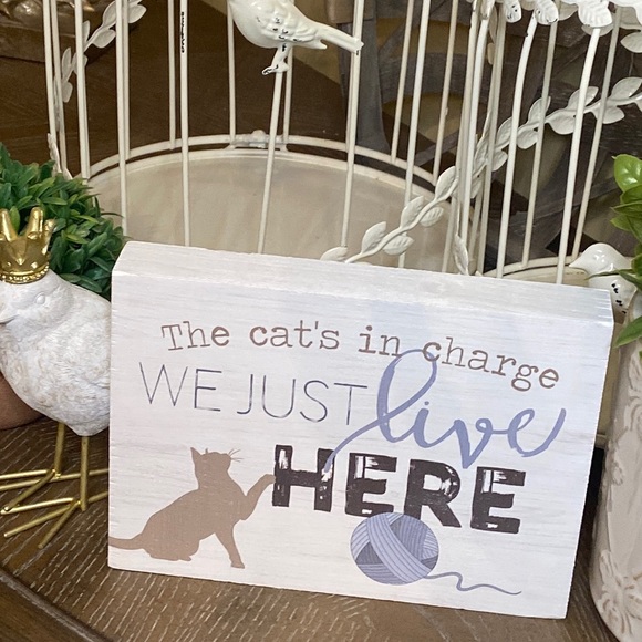 Accents | New Shabby Chic Cottage Farmhouse The Cats In Charge Pet Wood ...